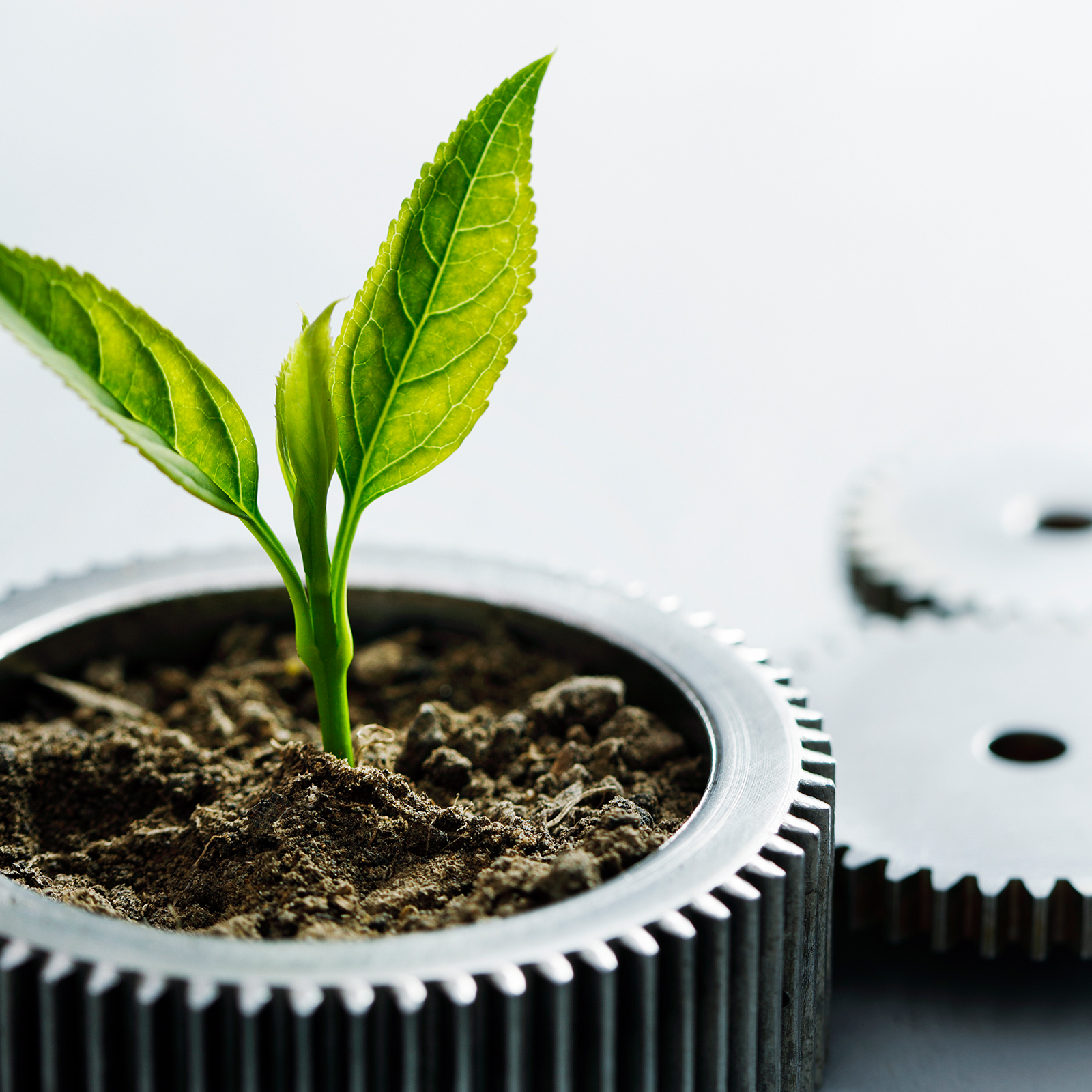 Clients Need Nurturing Too: 9 B2B Marketing Ideas for Client ...