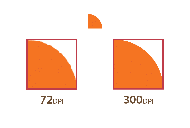 5 Tips to Optimize Your Images for the Web - circle S studio