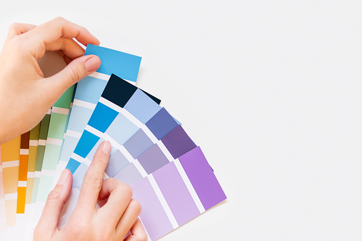 5 Reasons Your Brand Should Have a Secondary Color Palette - circle S ...